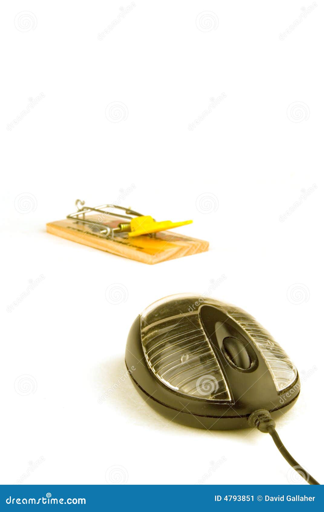 Mouse trap stock image. Image of mouse, mice, fraud, catch - 4793851