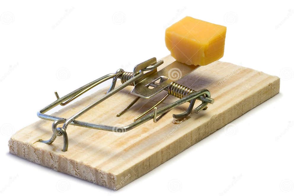 Mouse Trap stock image. Image of isolated, white, catch - 511667