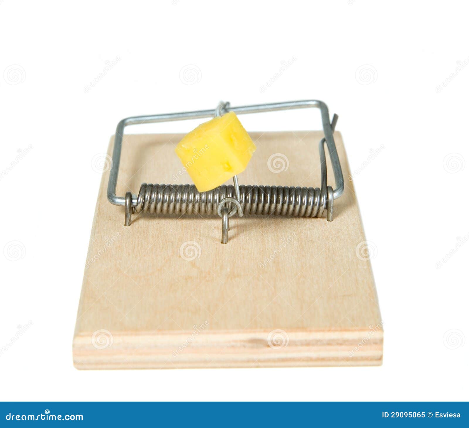 Mouse trap with cheese stock image. Image of eliminate - 29095065