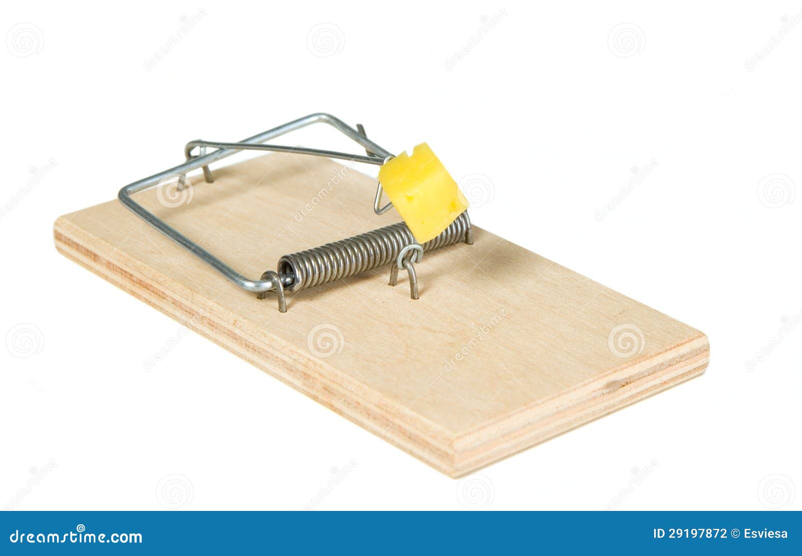 A mouse trap with cheese stock photo. Image of warning - 29197872