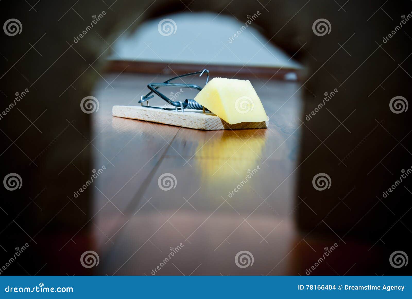 Mouse trap stock photo. Image of rodent, curiosity, food - 78166404
