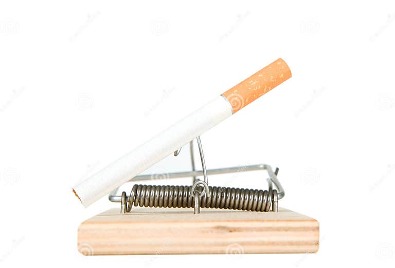 A Mouse Trap with Cigarette Stock Image - Image of danger, isolated ...