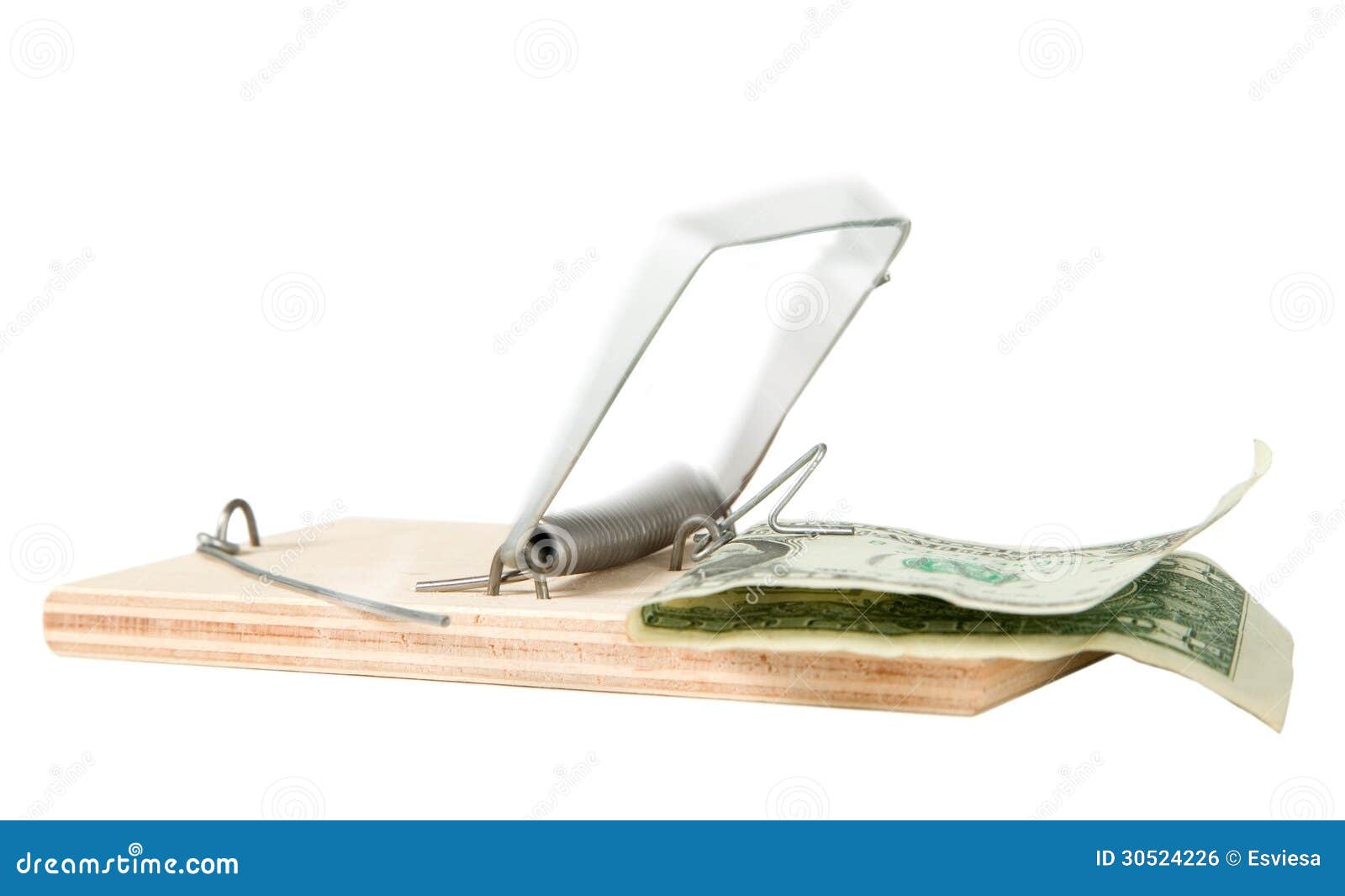 A mouse trap with money stock photo. Image of mice, dangerous - 30524226