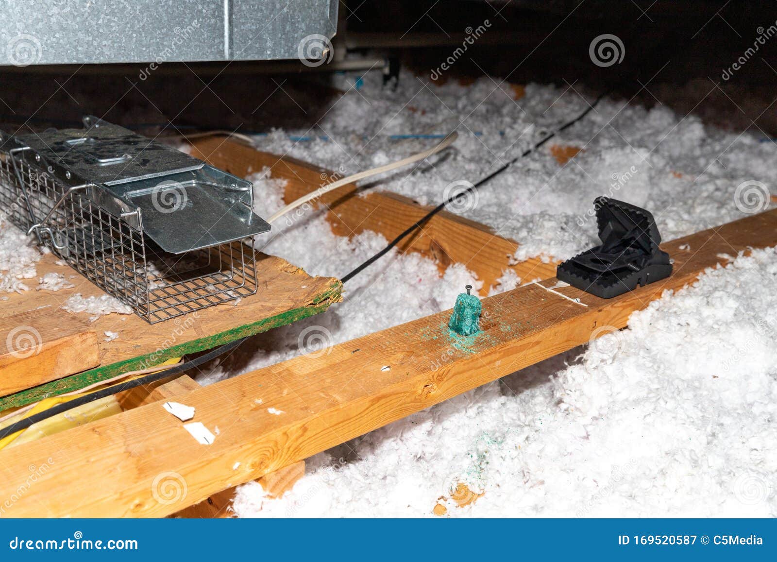 Mouse Traps Stock Photography | CartoonDealer.com #9677714