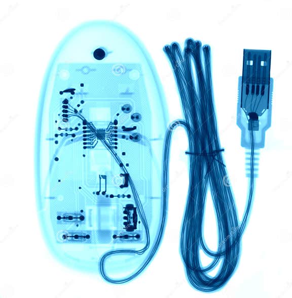 Mouse under the X-rays stock image. Image of technology - 36955135