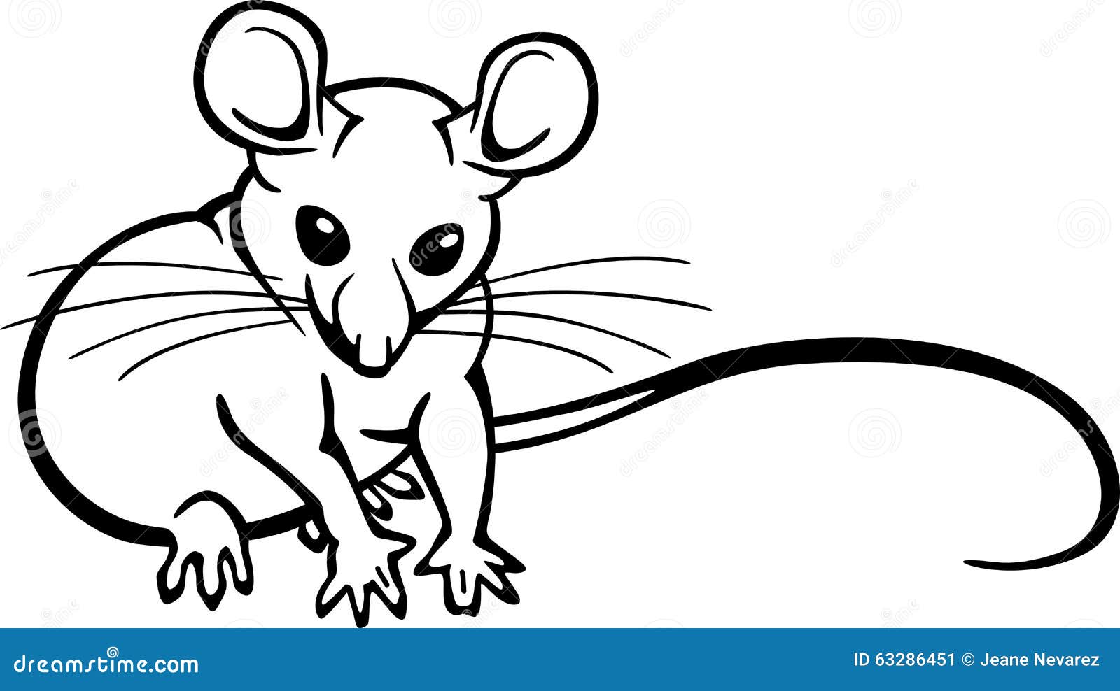 Mouse Sitting Drawing