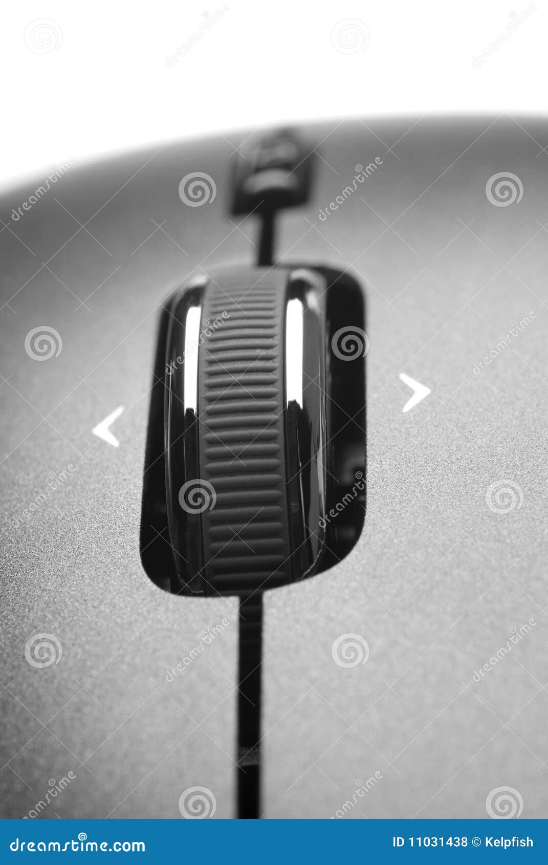 Mouse wheel stock photo. Image of electronic, detail - 11031438