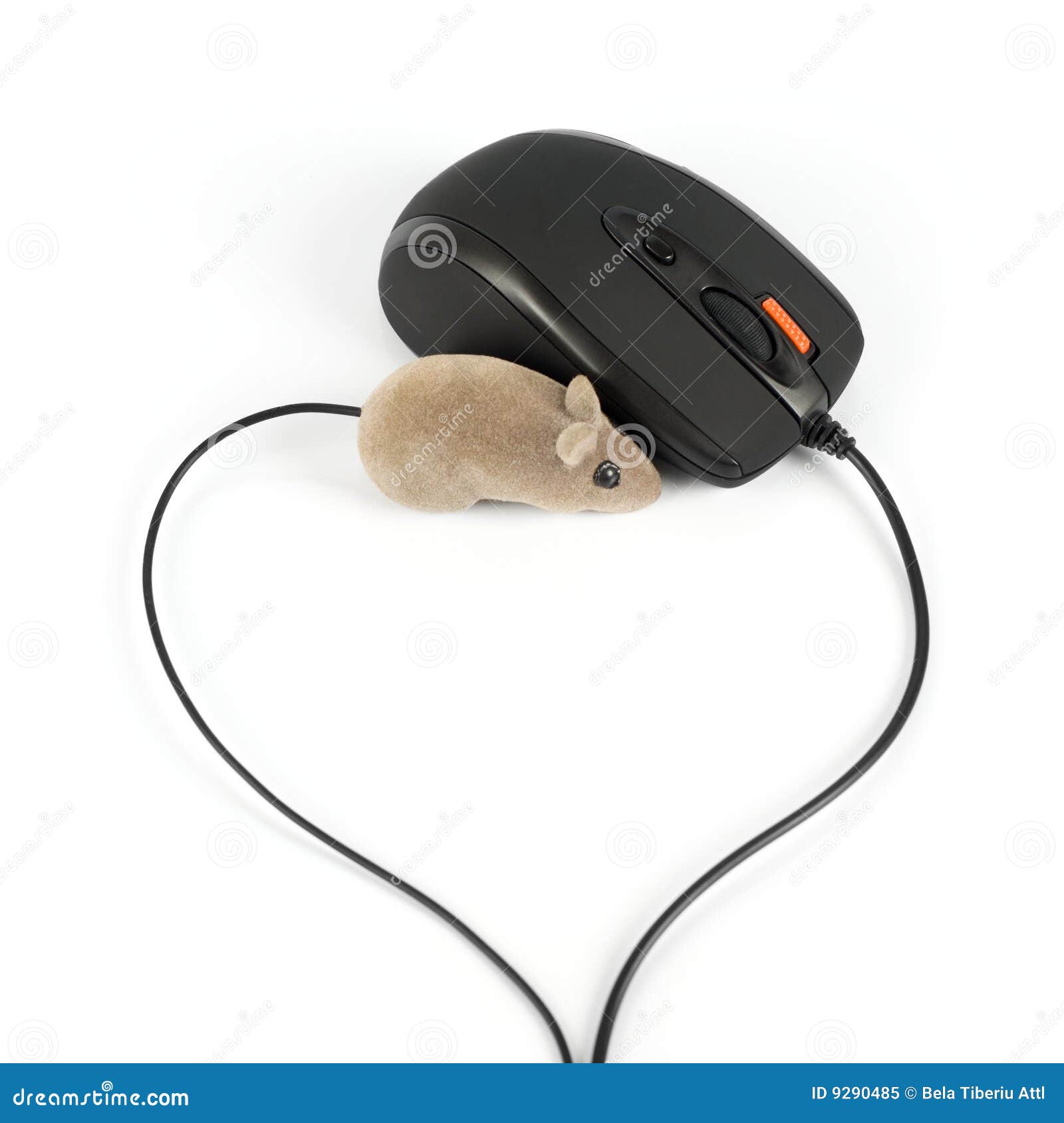 Mouses forming heart shape stock image. Image of love - 9290485
