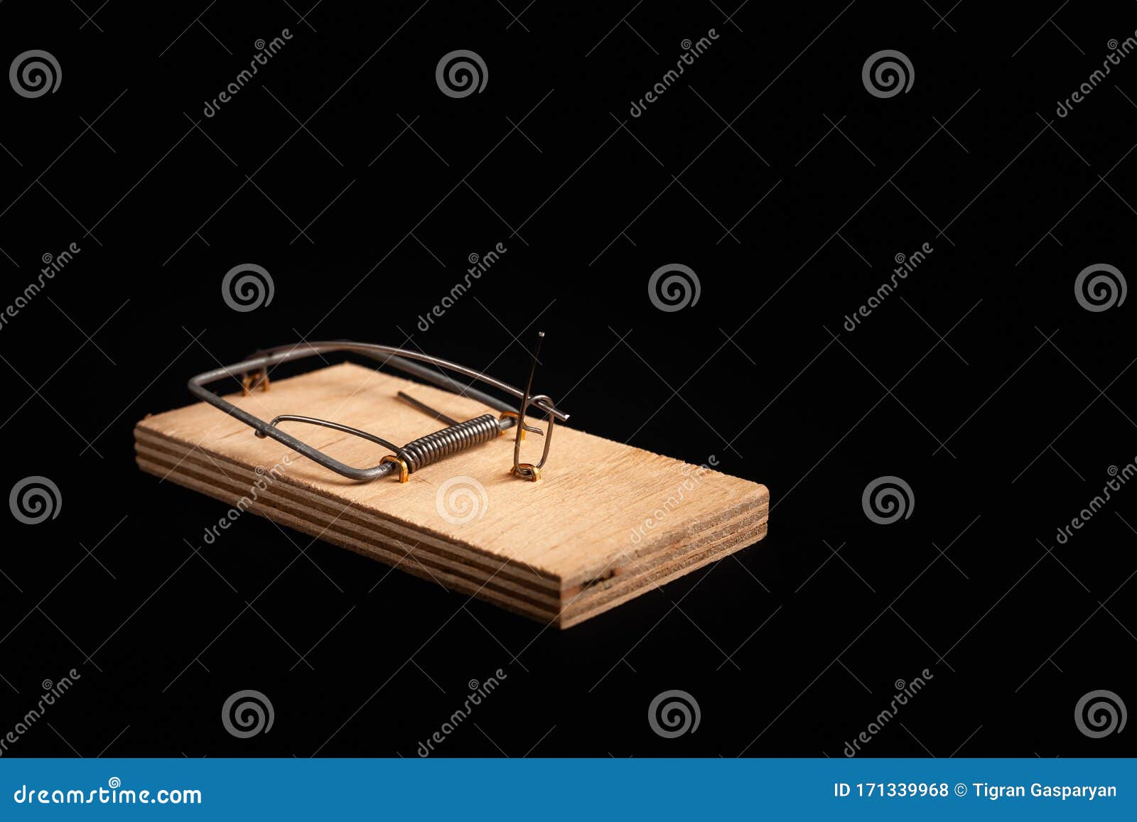 Photo Traps In Forests, Camera Trap With Infrared Light And Motion ...