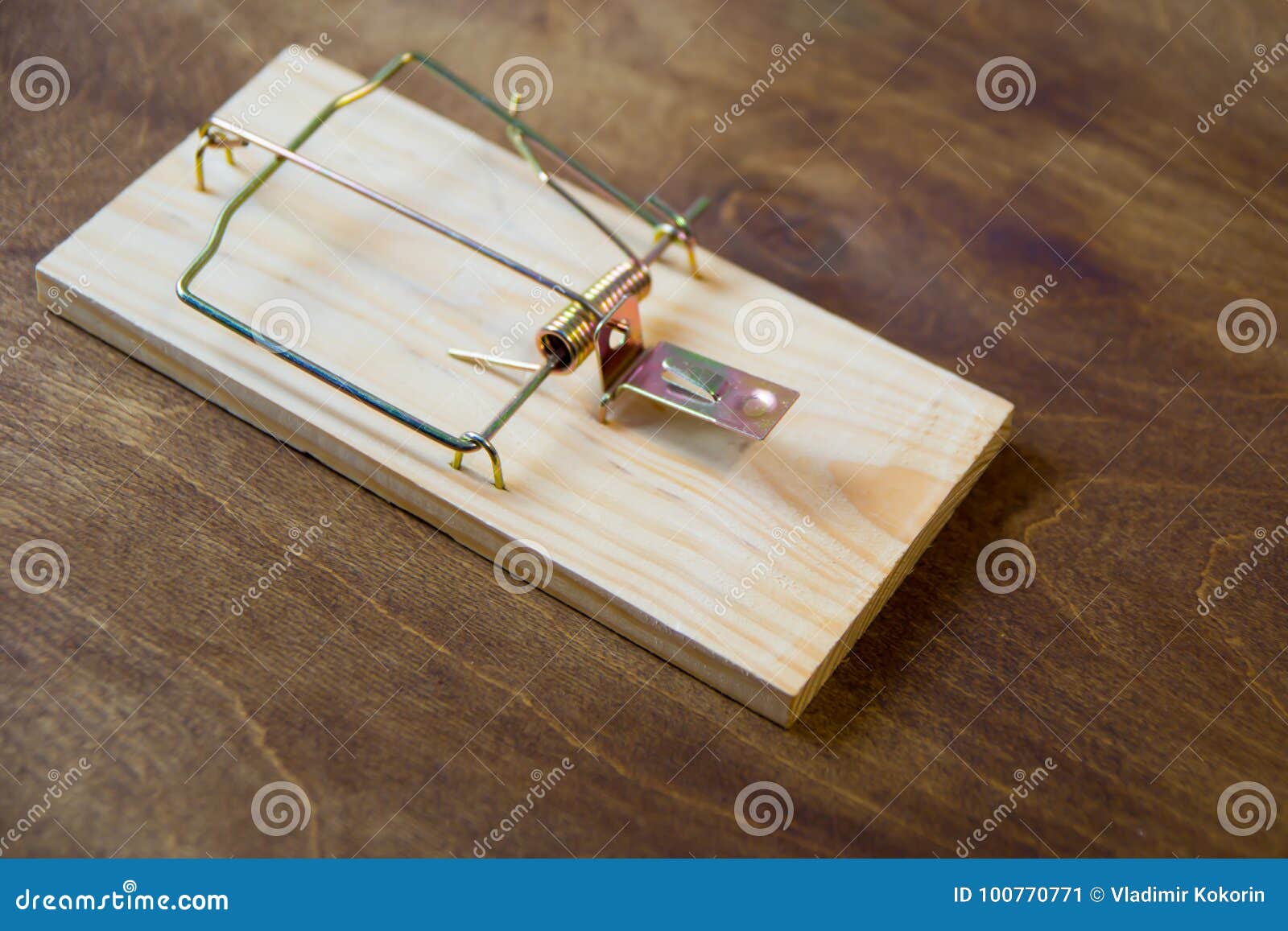 Mousetrap. Do Not Fall for the Bait Stock Image - Image of bank, cheese ...