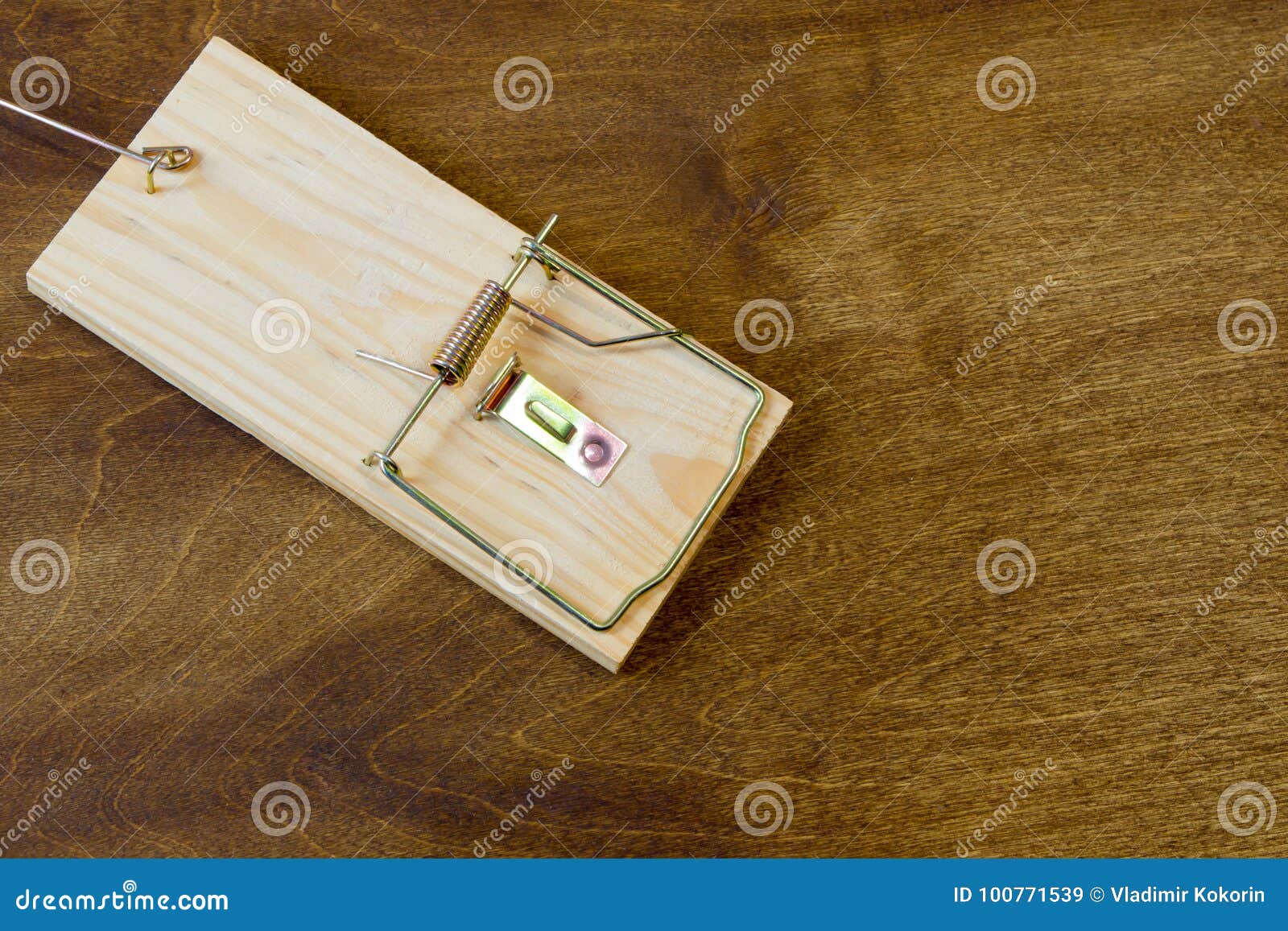 Mousetrap. Do Not Fall for the Bait Stock Image - Image of catch, hide ...