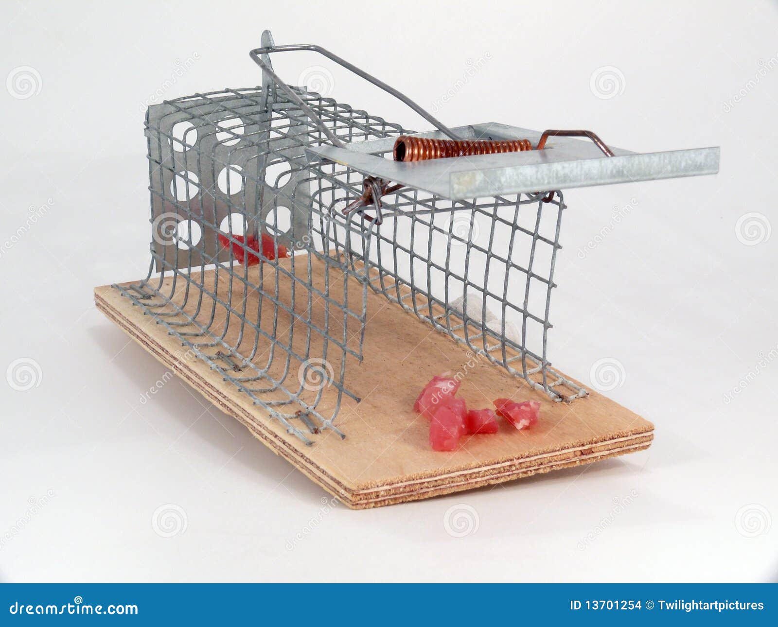 Mousetrap live traps, stock photo. Image of falls, pest - 13701254