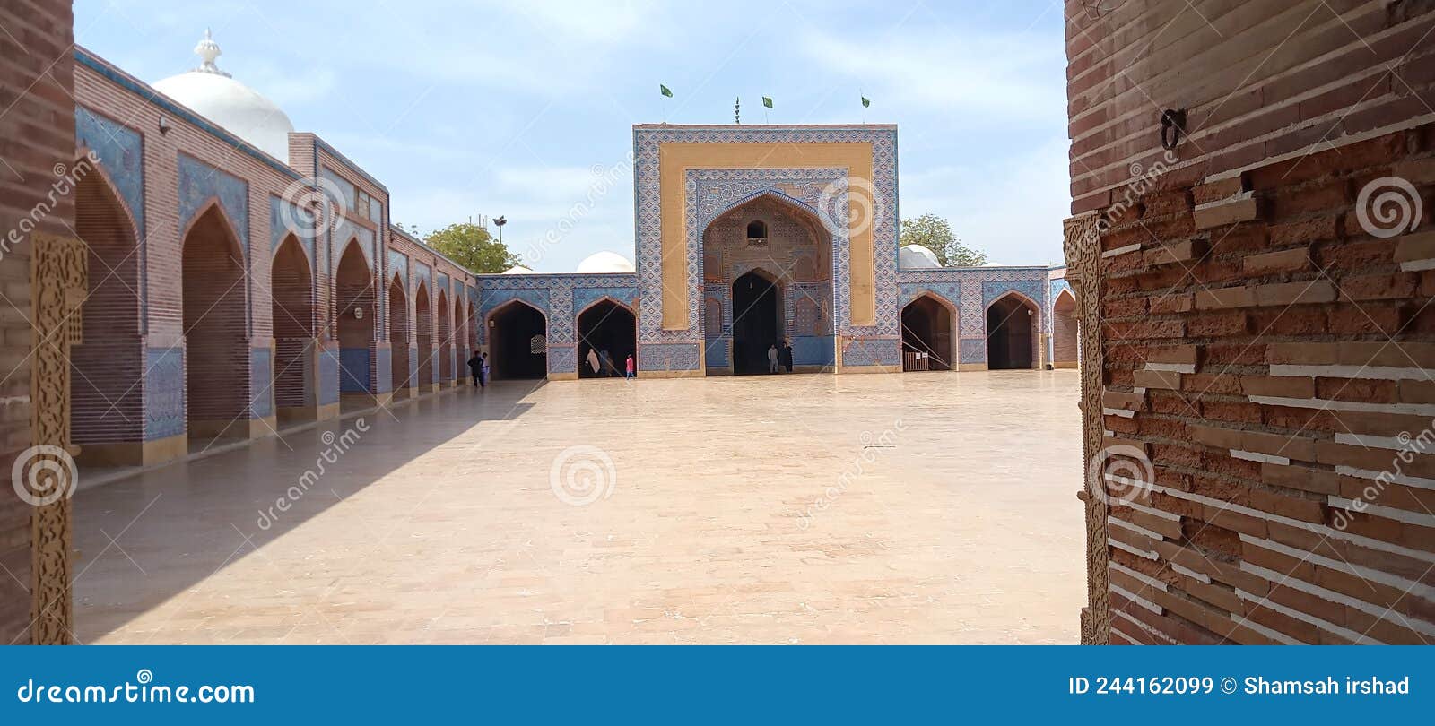 Mousq in Sindh editorial stock image. Image of pakistan - 244162099