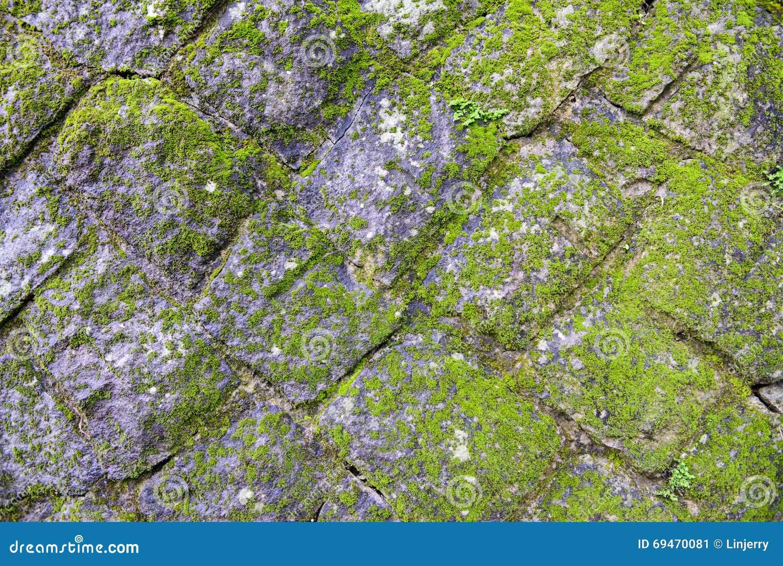 Mousse Sur Le Vieux Mur De Roche Image stock - Image du mousse ...