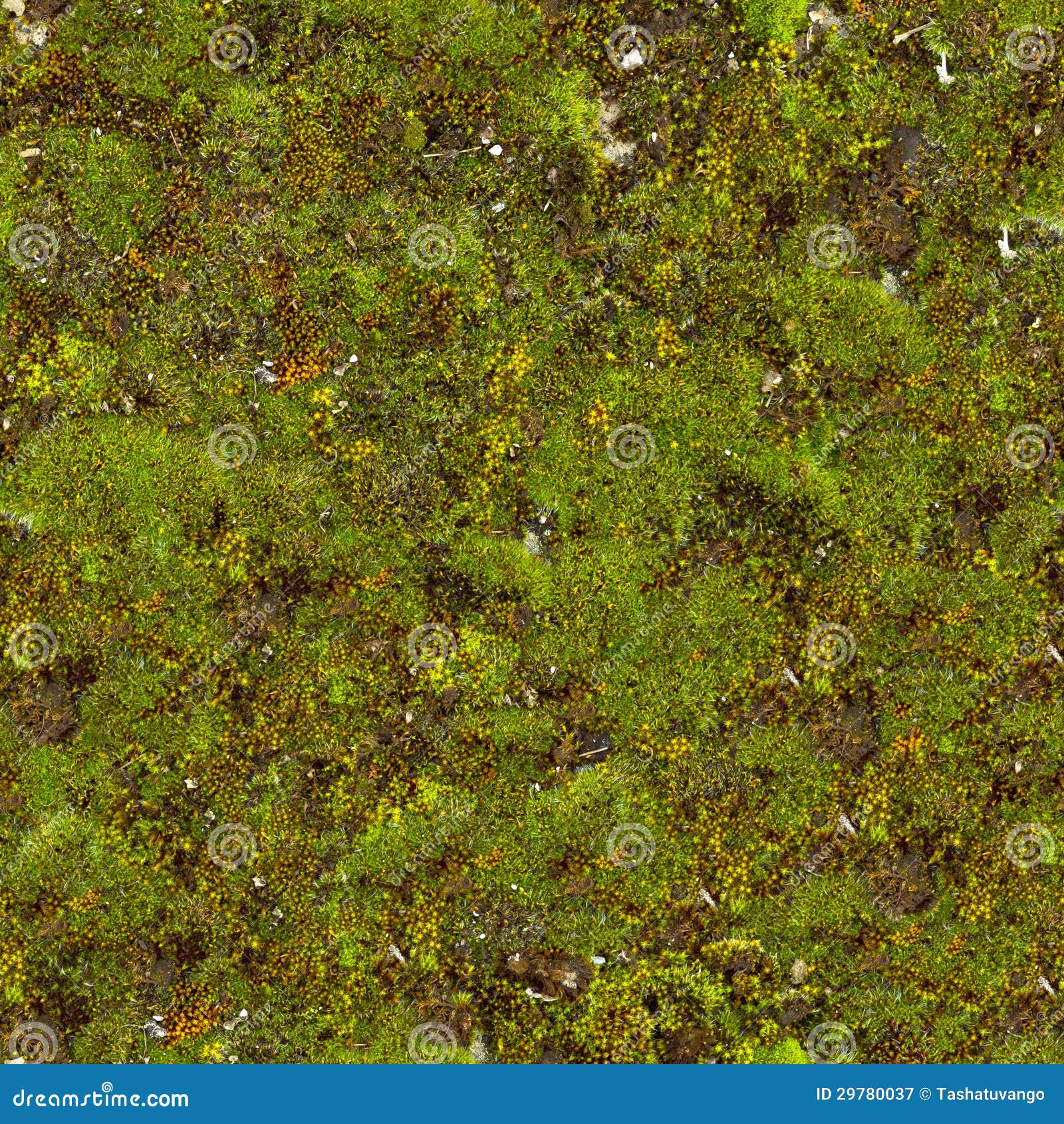 Texture Sans Joint De Mousse. Image stock - Image du couleur, nature ...