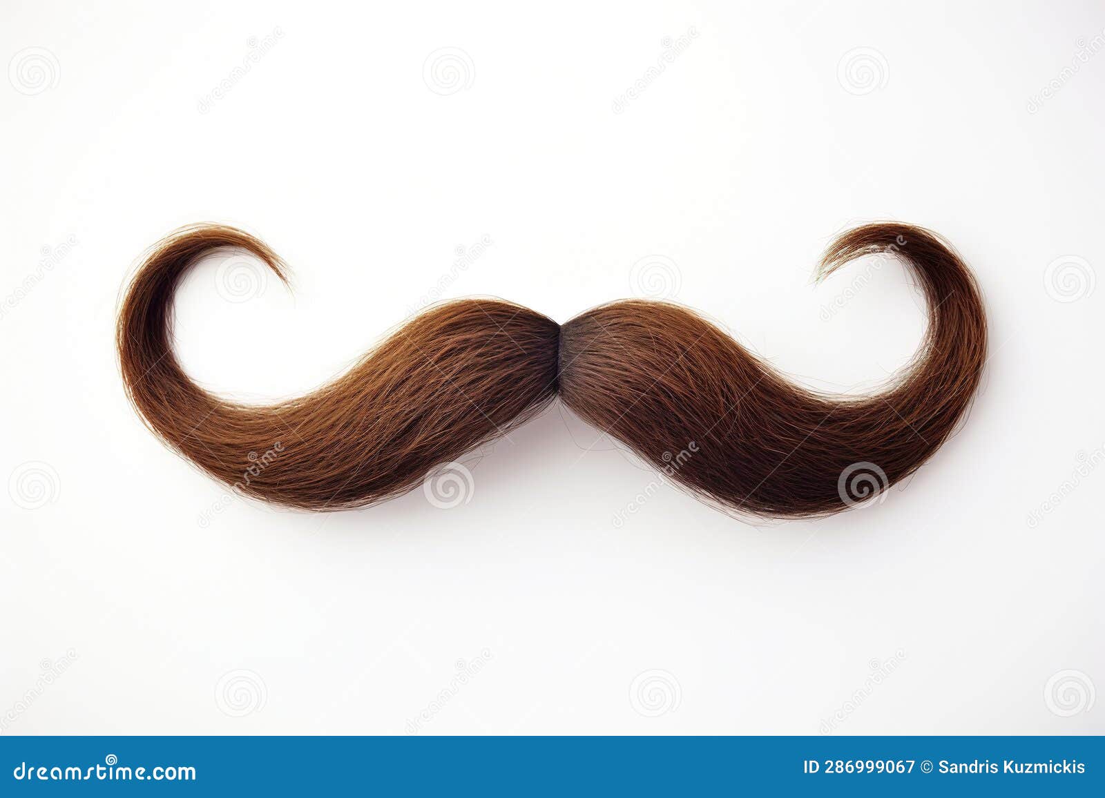 Moustache Isolated on White Background Stock Image - Image of fake ...