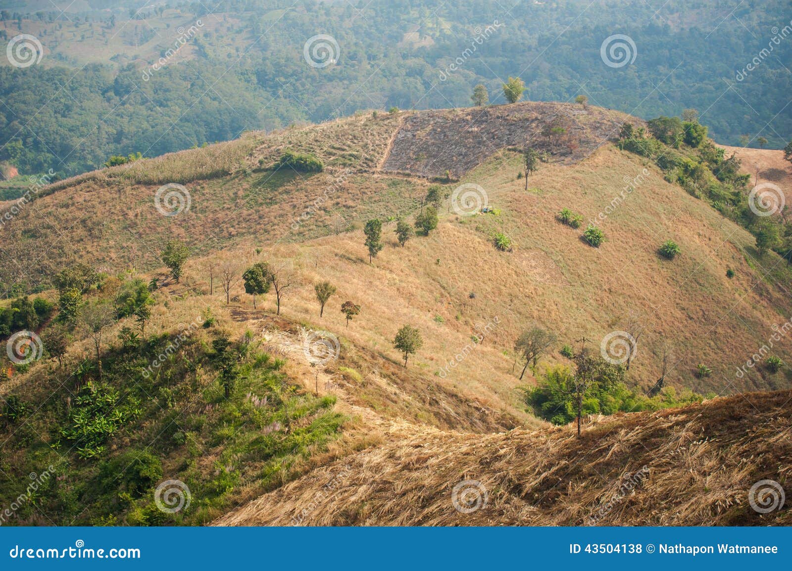 Moutain stock photo. Image of road, meadow, landscape - 43504138