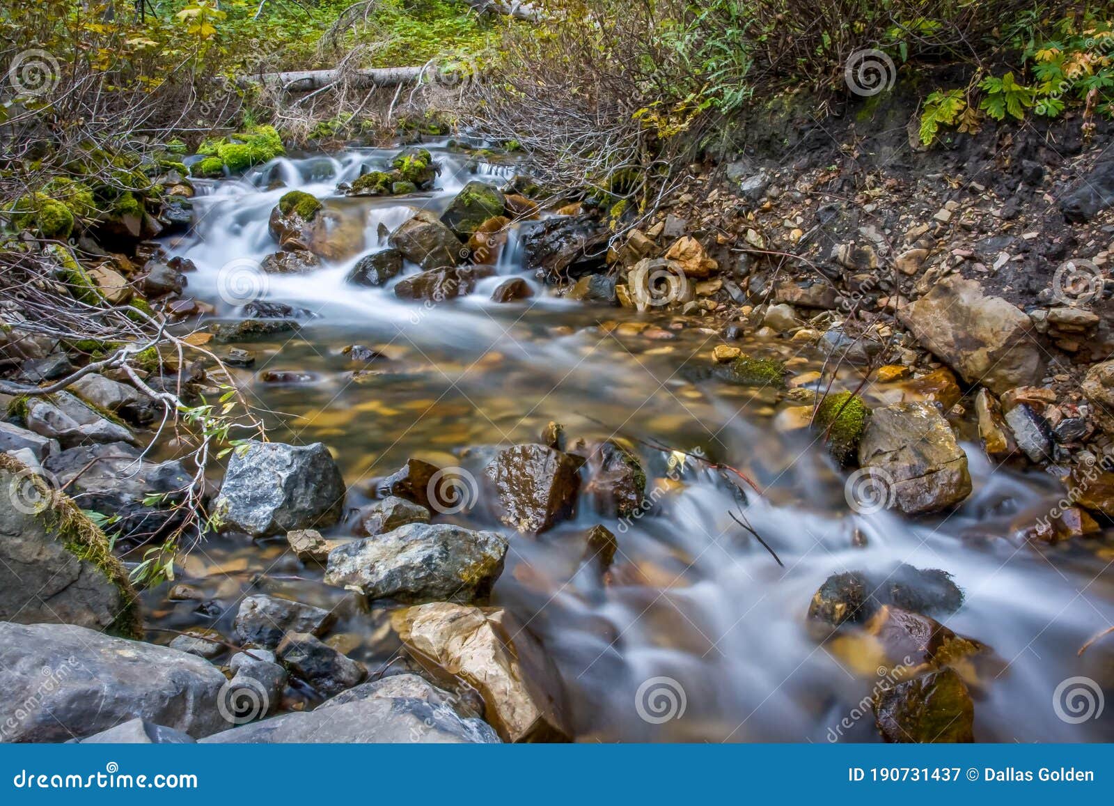 A Flowing Moutain River in the Summer Stock Image - Image of mountain ...