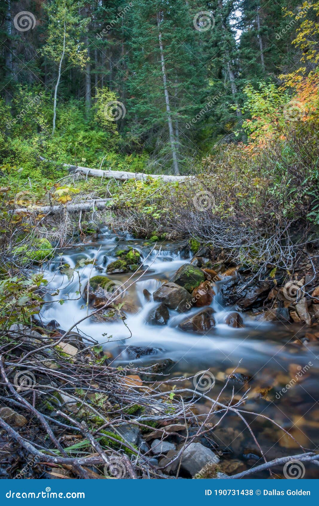 Long Exposure of a Moutain River Stock Photo - Image of waterfall ...