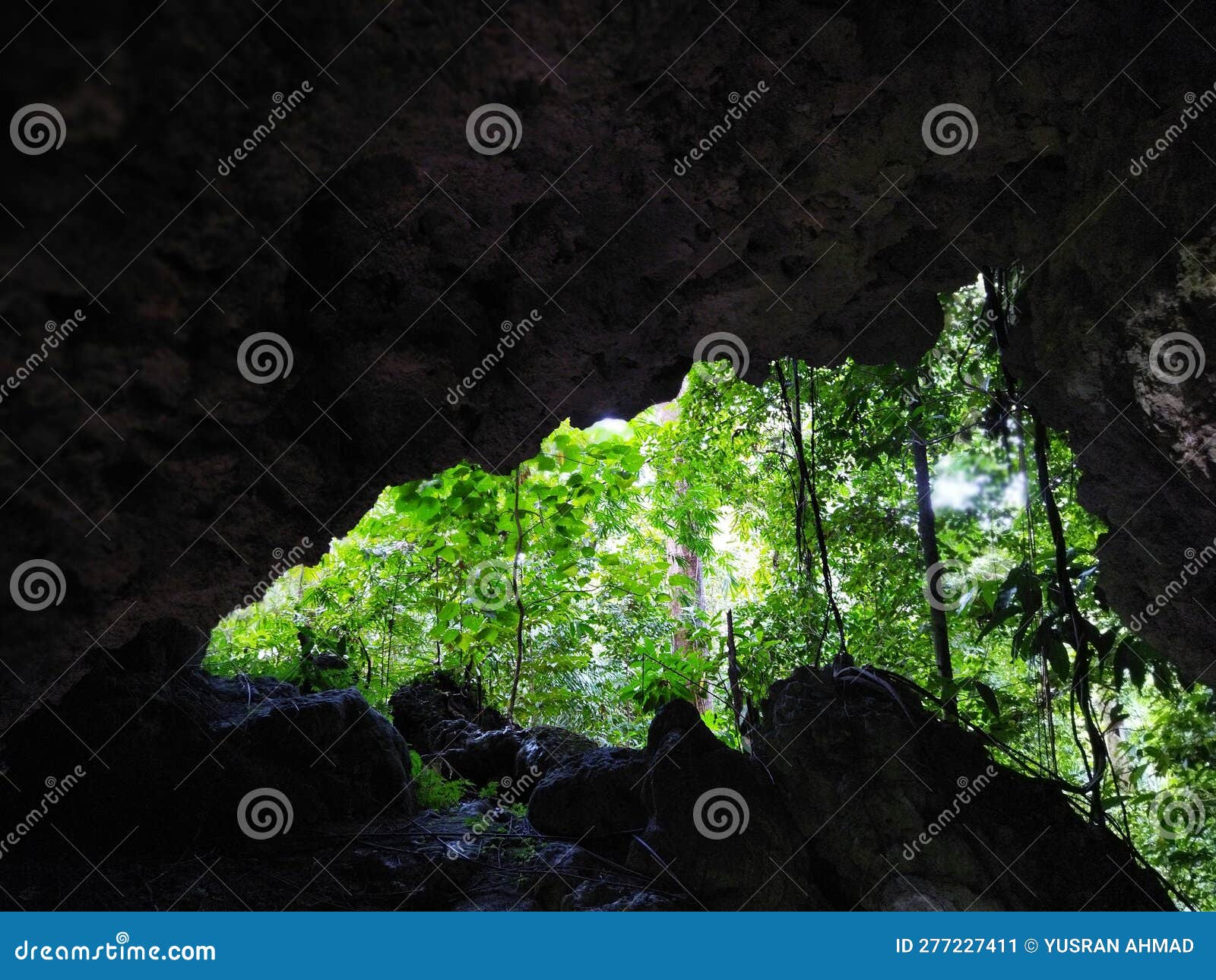 The Mouth of the Cave Resembles a Dolphin or Orca Stock Image - Image ...