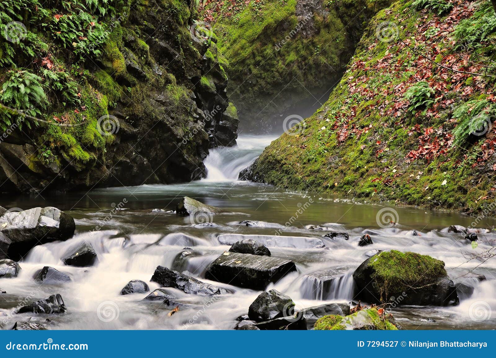 Mouth of a gorge stock image. Image of rocks, motion, flow - 7294527