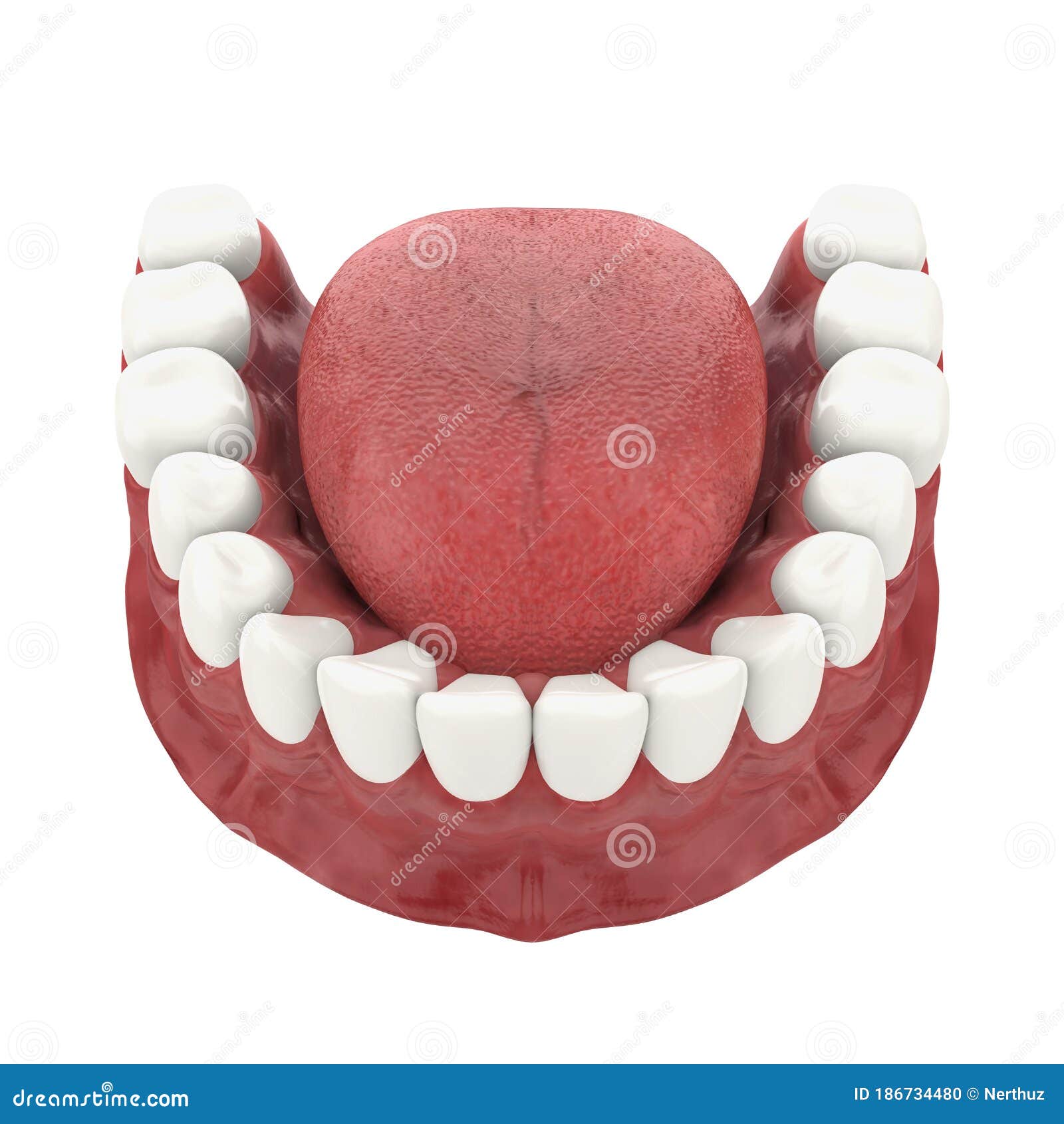 Mouth Gum and Teeth Isolated Stock Illustration - Illustration of ...