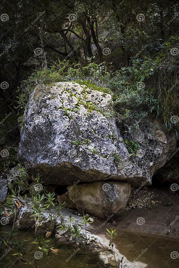 The Mouth of the Oren Stream on Mount Carmel in Israel Stock Photo ...