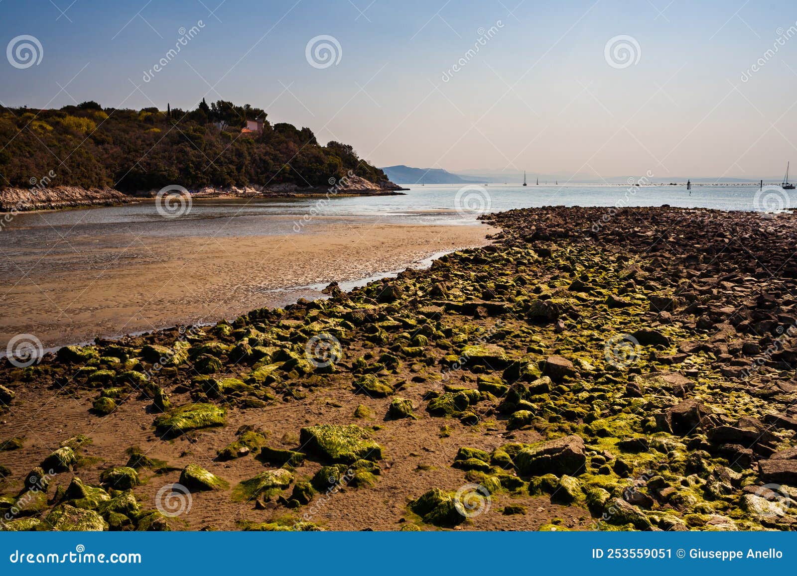 Mouth of the Timavo river stock image. Image of europa - 253559051