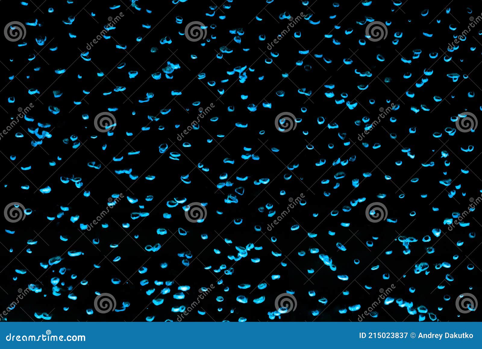 Fluid Dynamics Bubbles Photos - Free & Royalty-Free Stock Photos from ...