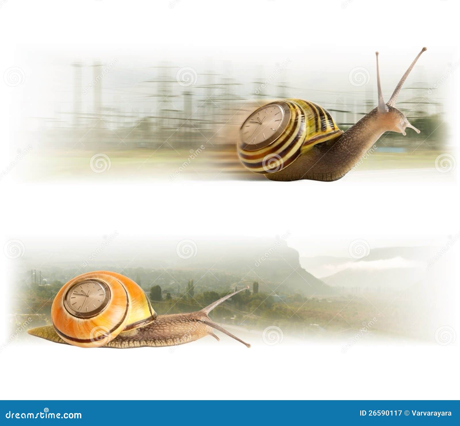 Movement cute snails stock image. Image of strips, movement - 26590117