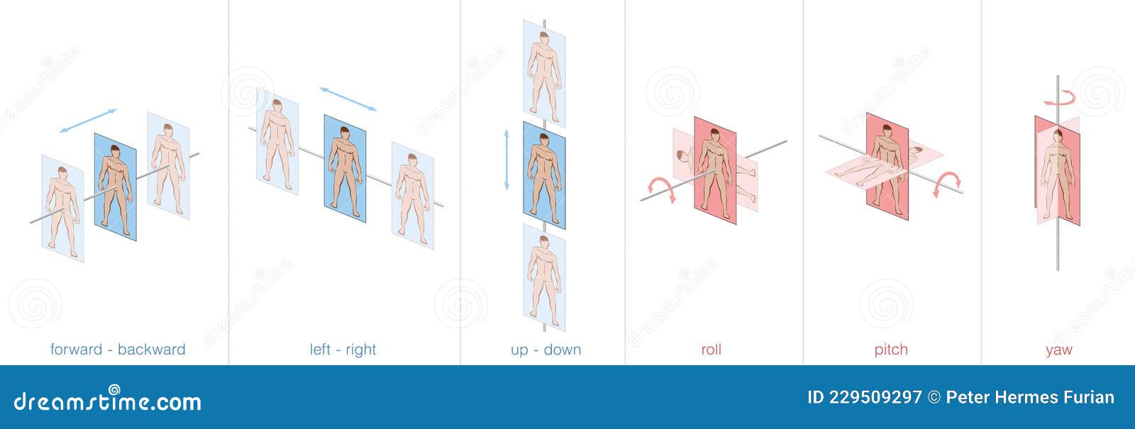 Movement Rotation Up Down Roll Pitch Left Right Yaw Stock Vector ...