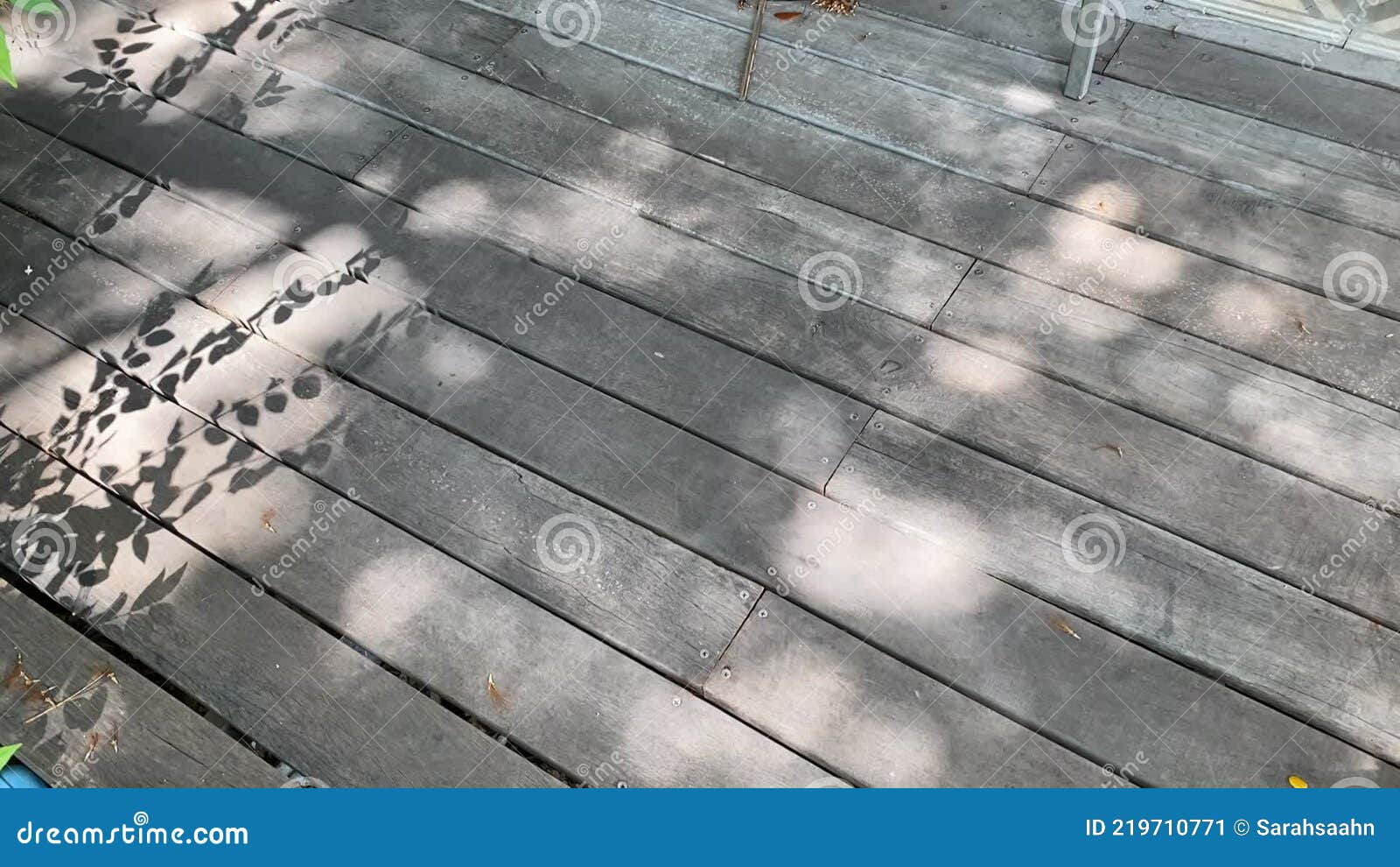 Movement of Tree Shadows and Bokeh Circle Lights on Wood Panel ...