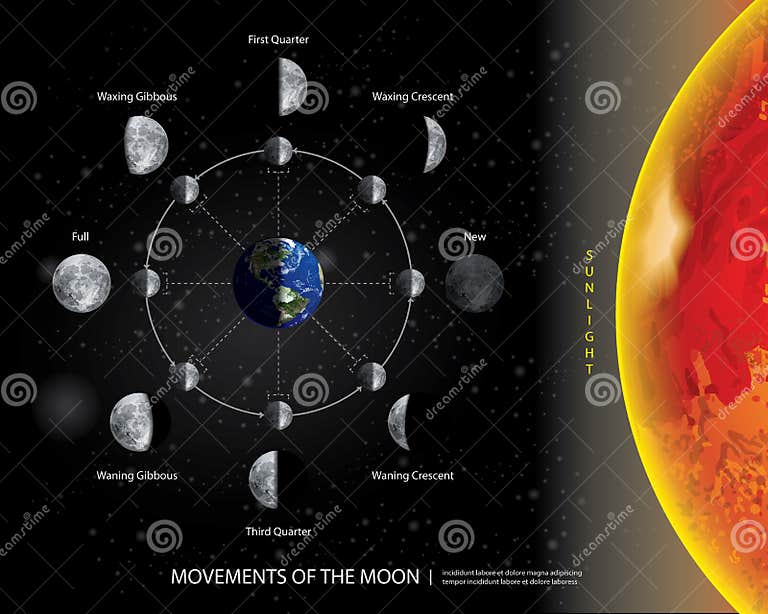 Movements of the Moon 8 Lunar Phases Realistic Stock Vector ...