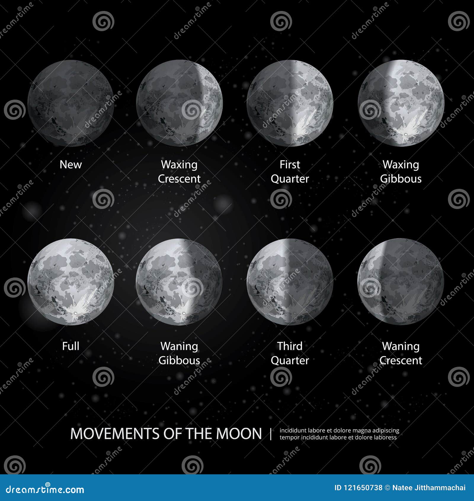 Movements of the Moon Phases Realistic Stock Vector - Illustration of ...