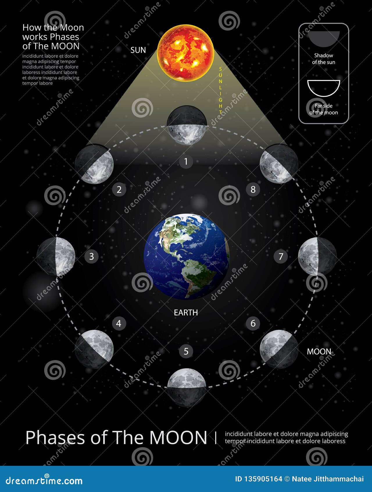 Movements of the Moon Phases Realistic Stock Vector - Illustration of ...