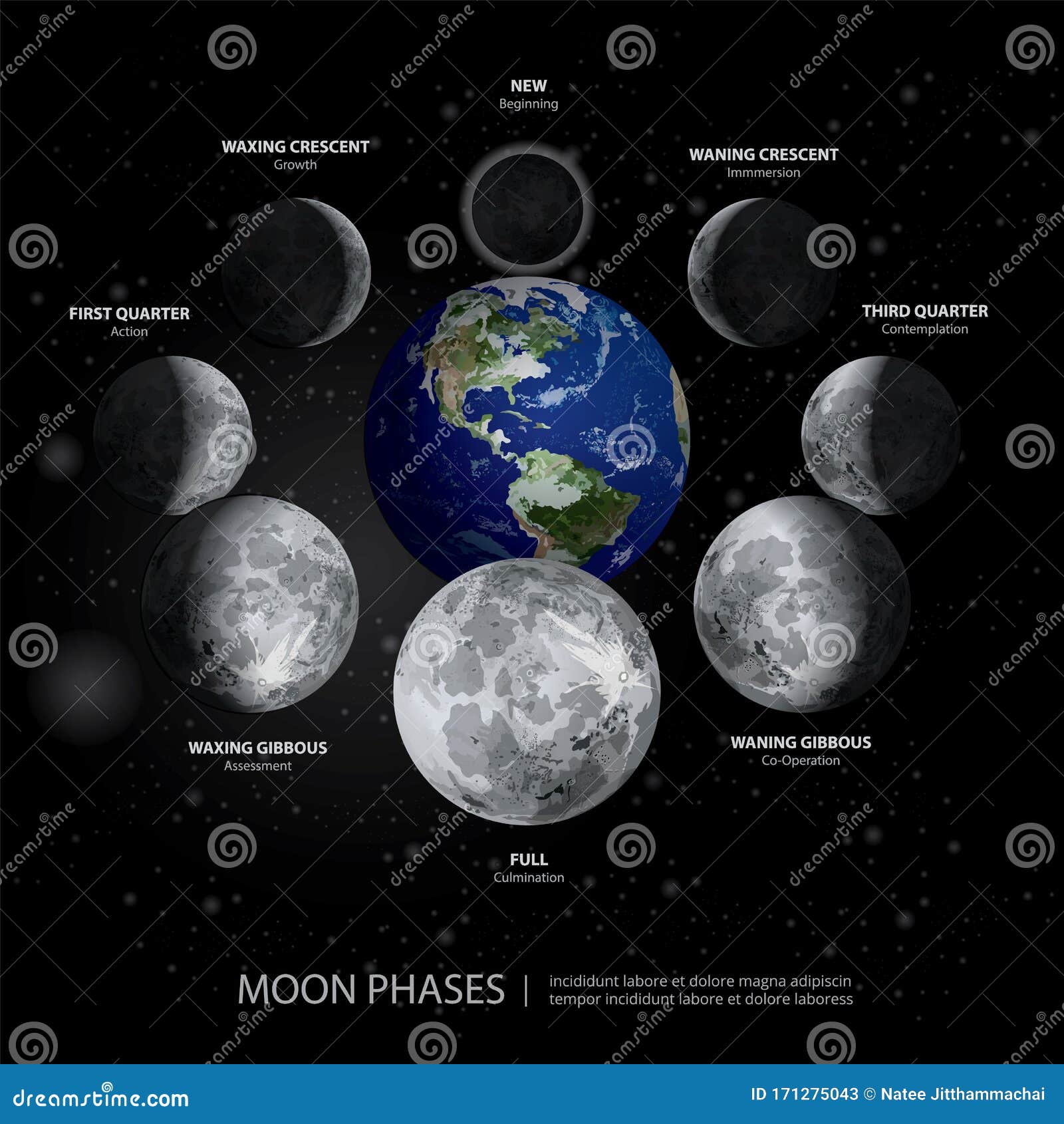 Movements of the Moon Phases Realistic Stock Vector - Illustration of ...