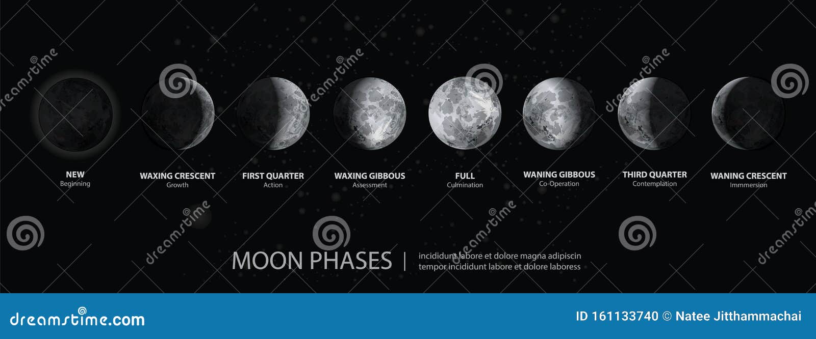 Movements of the Moon Phases Realistic Stock Vector - Illustration of ...