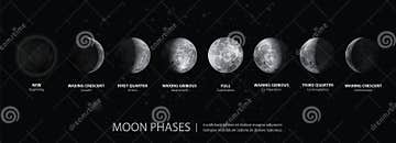 Movements of the Moon Phases Realistic Stock Vector - Illustration of ...