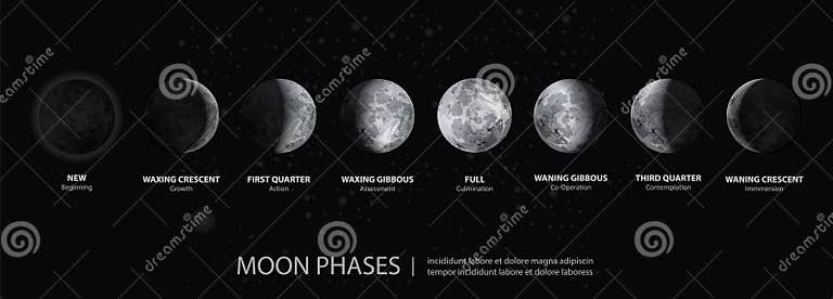Movements of the Moon Phases Realistic Stock Vector - Illustration of ...