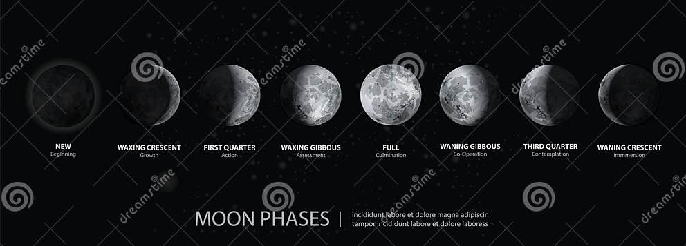 Movements of the Moon Phases Realistic Stock Vector - Illustration of ...
