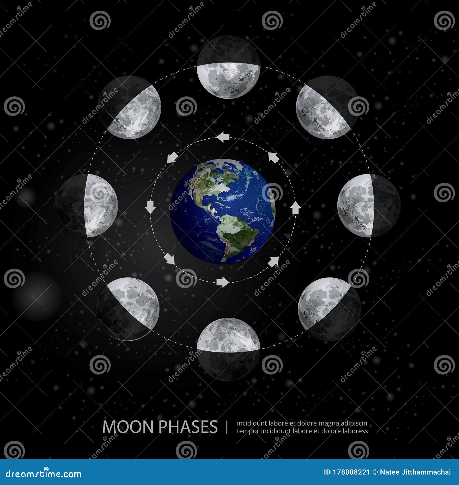 Movements of the Moon Phases Realistic Stock Vector - Illustration of ...