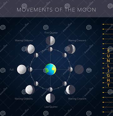 Movements of the Moon Vector Stock Vector - Illustration of nature ...