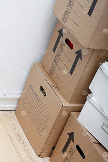 Moving stock photo. Image of plant, office, cardboard - 10288582