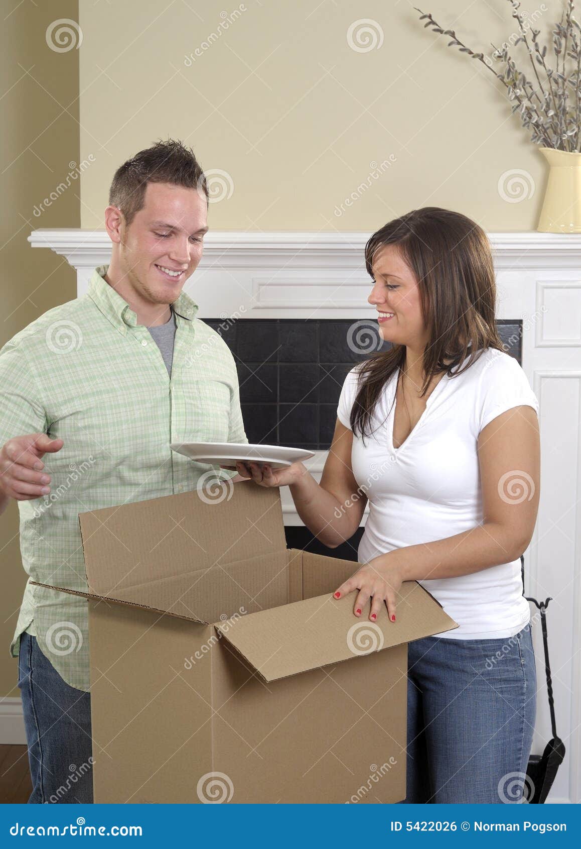 Moving stock photo. Image of move, interior, fireplace - 5422026