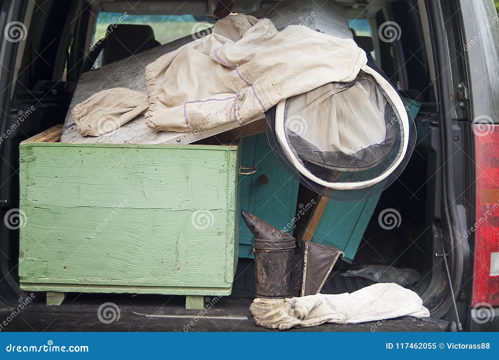 Moving Beehive in Car stock image. Image of moving, vehicle - 117462055