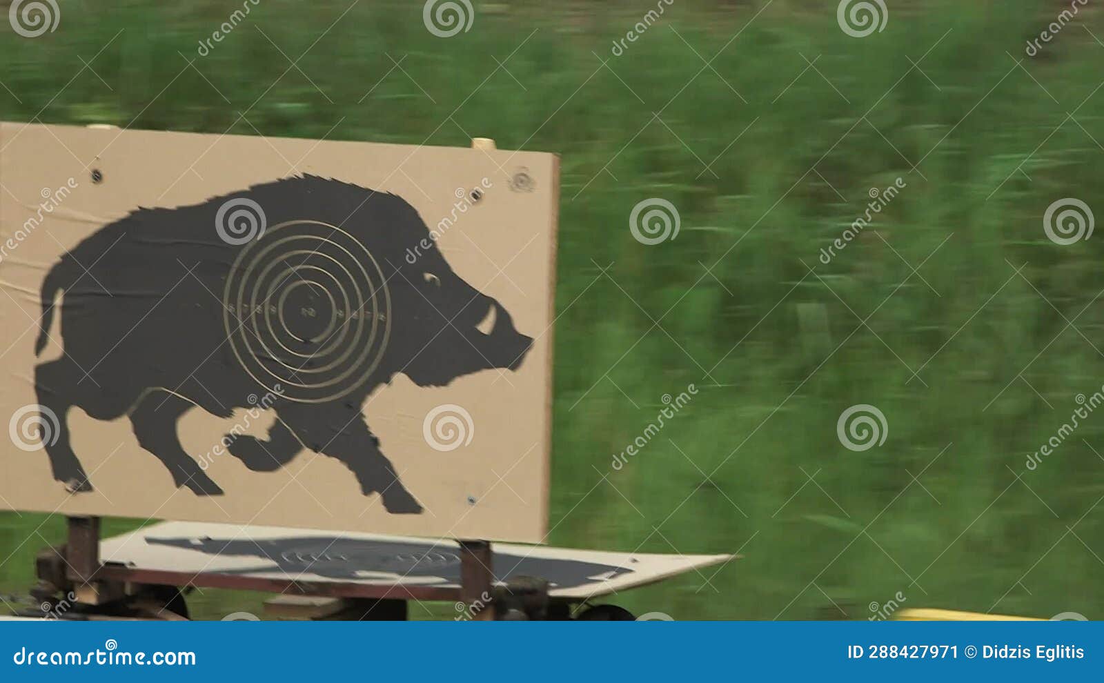 Moving Boar Target Moves Across the Shooting Range Stock Video - Video ...