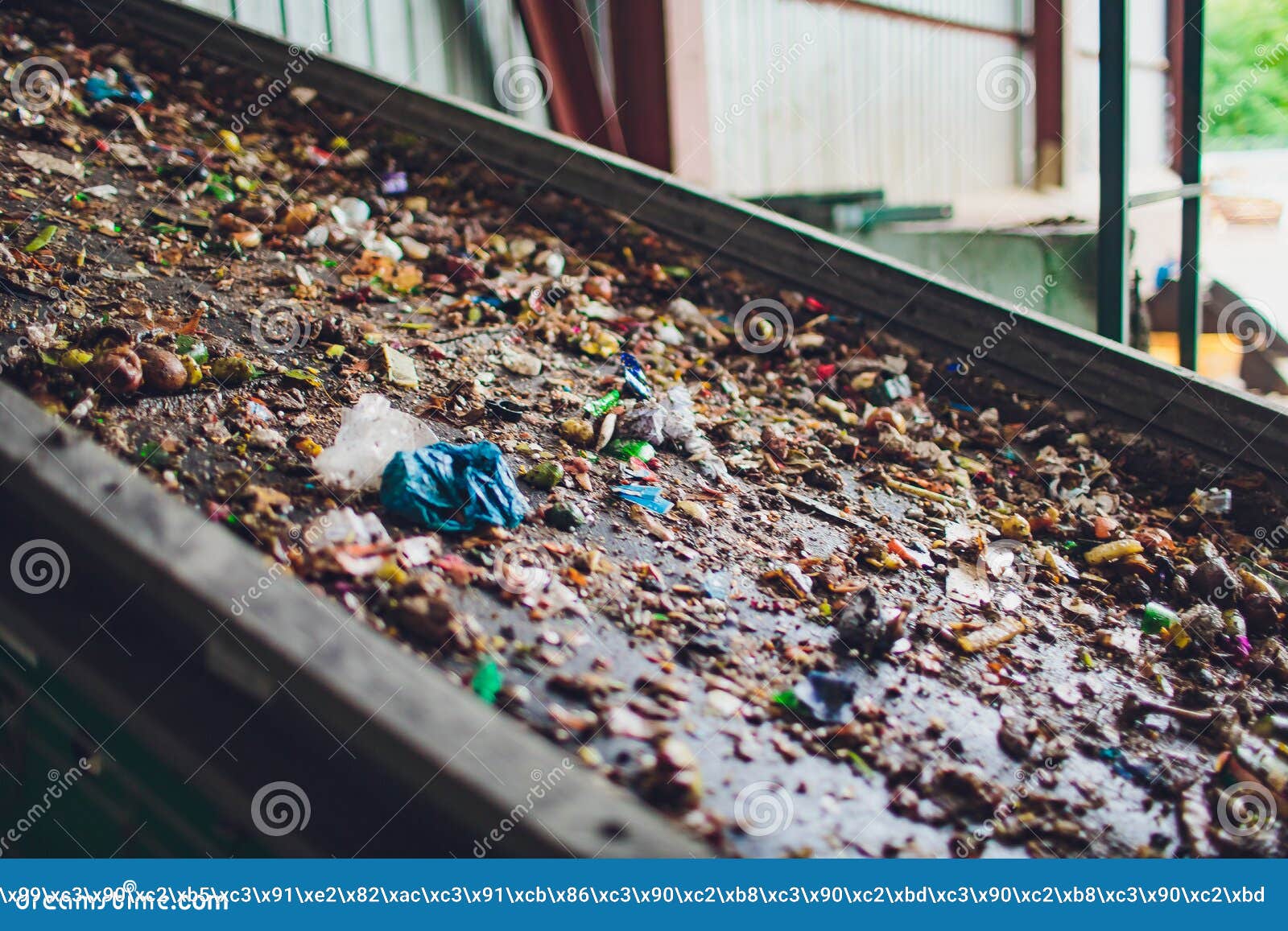 Moving Conveyor Transporter on Modern Waste Recycling Processing Plant ...