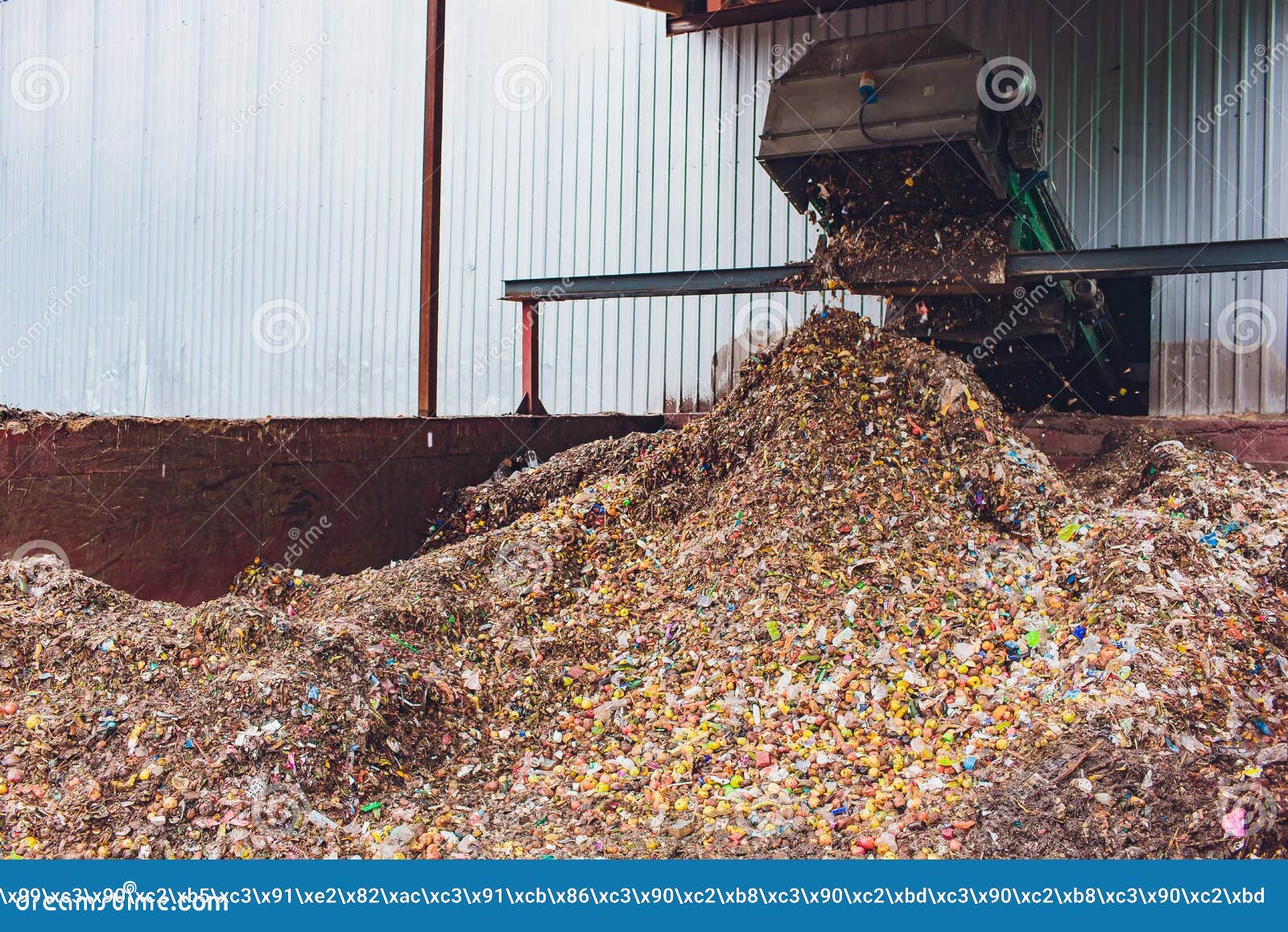 Moving Conveyor Transporter on Modern Waste Recycling Processing Plant ...
