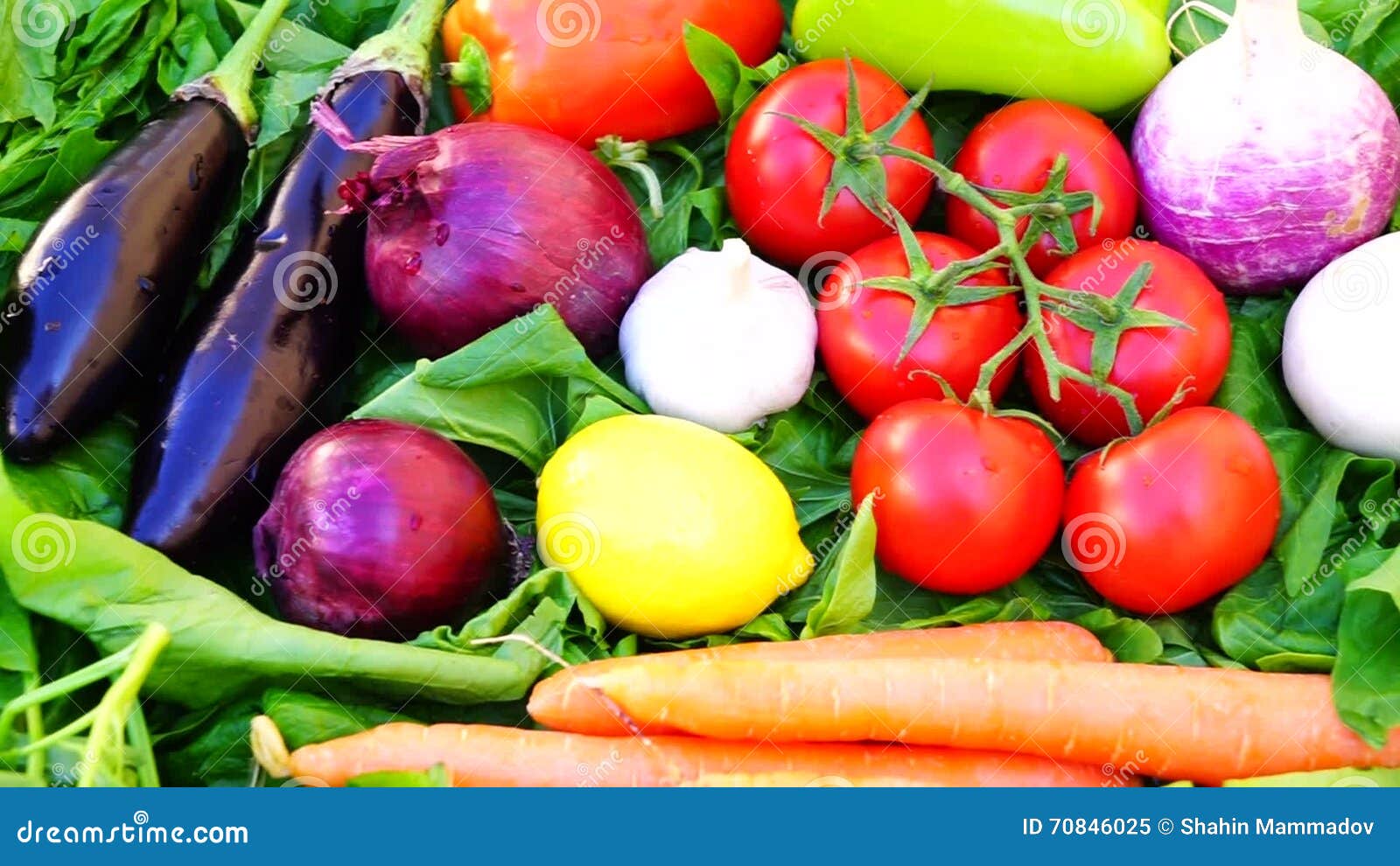 Moving Different Vegetables and Citrus Fruits on Green Grass Stock ...