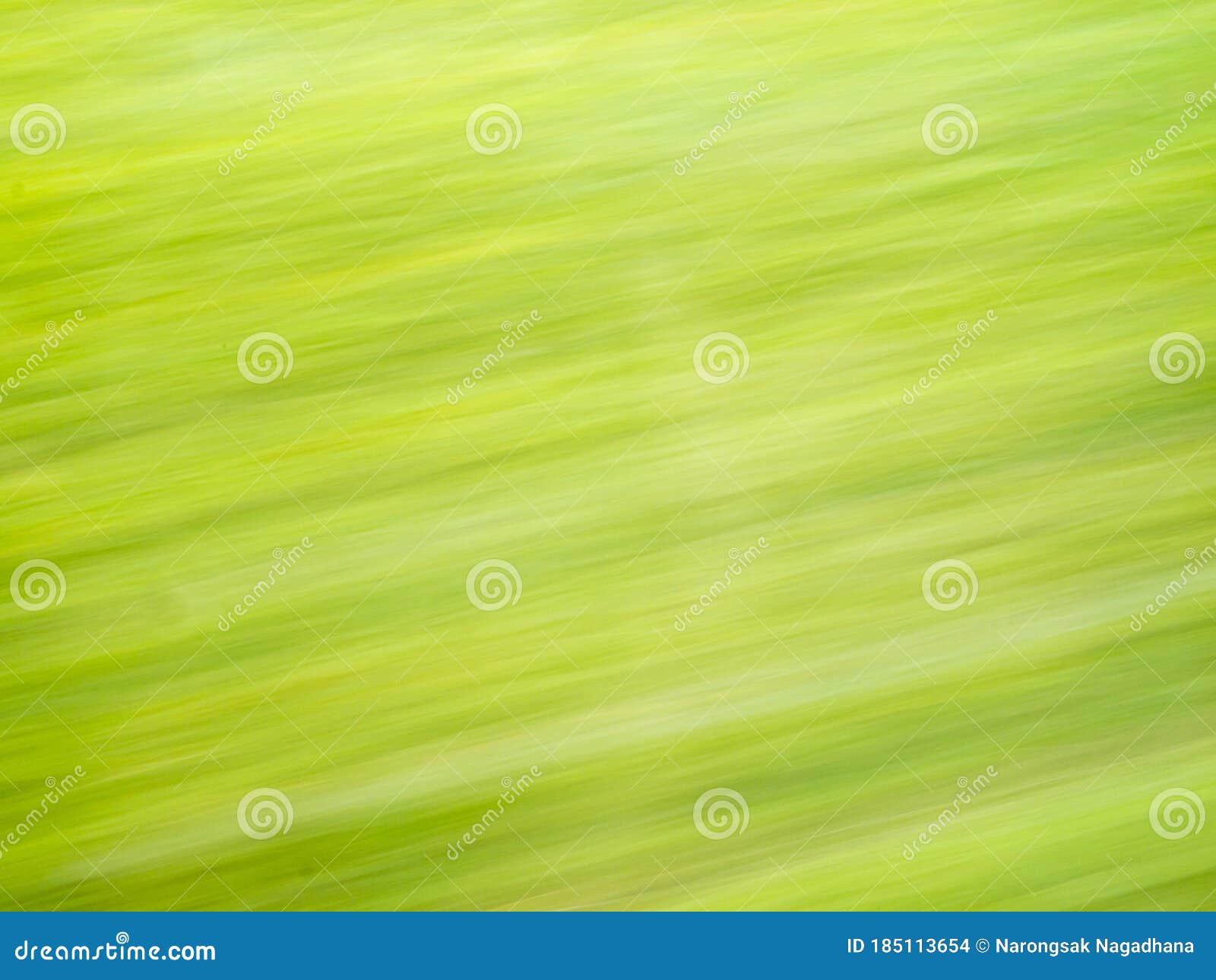 Moving Grass Texture Background Abstract Stock Photo - Image of fresh ...